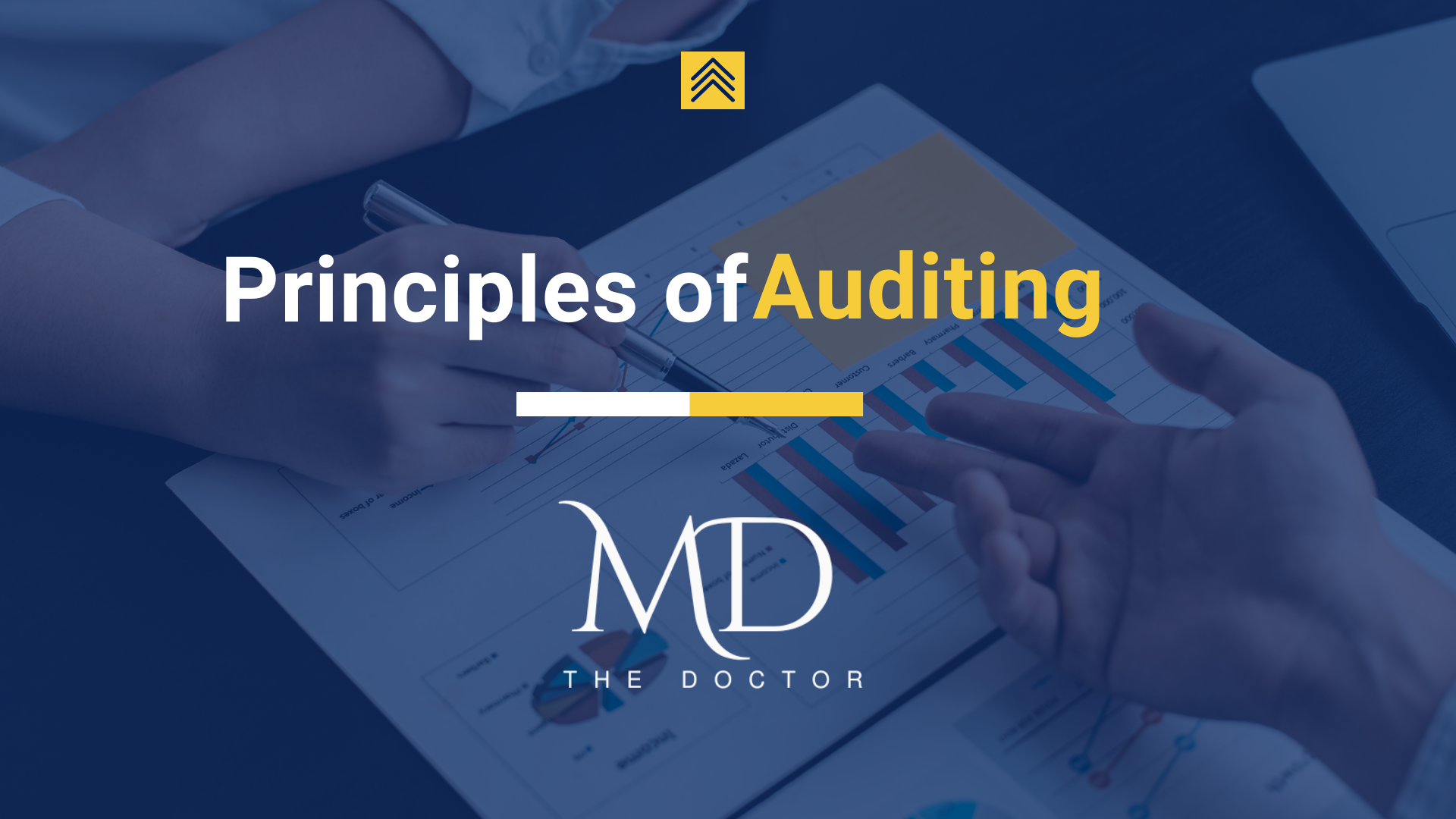 Principles of Auditing | The Doctor